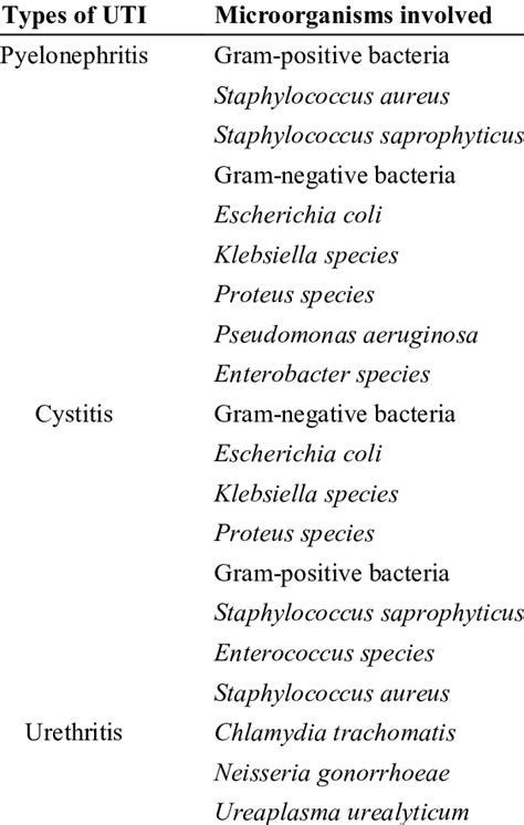 Uropathogens Causing Urinary Tract Infections Download Scientific Diagram