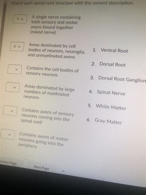 solved match each spinal cord structure with the correct