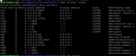 Nodejs Raspberrypi Webserver Cant Access Nginx Server Via External