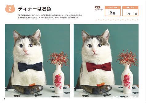猫だらけのまちがい探し 本の情報 ブティック社