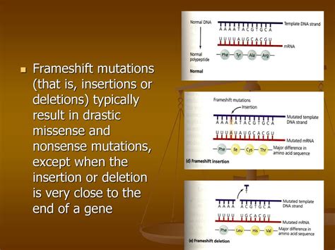 Replication Transcription Translation And Expression Of Nucleic Acid Ppt Download