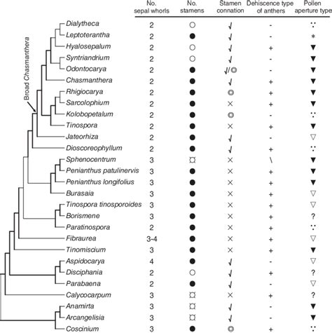 Simplified Ml Tree Generated From The Combined Cpdna And Its Data