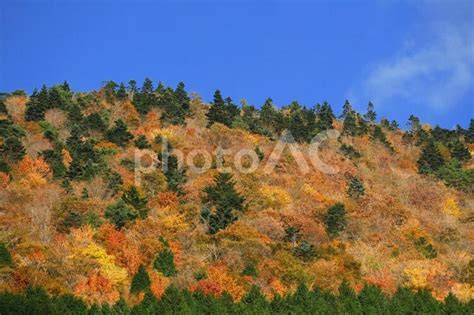 秋の山肌 No 1358202｜写真素材なら「写真ac」無料（フリー）ダウンロードok