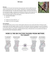 Understanding The Rh Factor In Blood Types Inheritance Course Hero