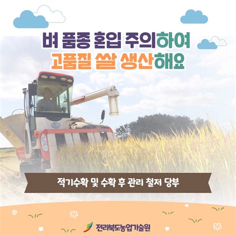 전북특별자치도농업기술원 벼 품종 혼입 주의하여 고품질 쌀 생산해요 적기수확 및 수확 후 관리
