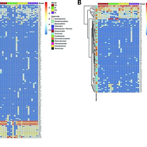 Heatmaps Of Enriched Bacterial And Fungal Genera By Amplicon