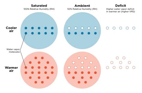 What Is Vpd Vapor Pressure Deficit And Why Is It Important