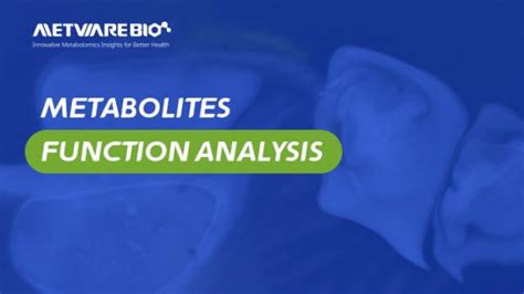 Data Analysis In Metabolomics Biomarker Research Metabolites Function Analysis Metwarebio