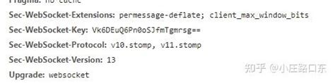 Netty WebSocket整合STOMP协议 知乎