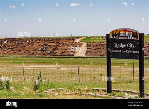 Dodge City Kansas A Highway Scenic Overlook At A Cattle Feedlot On