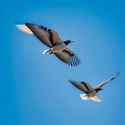 Premium Ai Image A Majestic Bird Gracefully Soaring Through A Vibrant