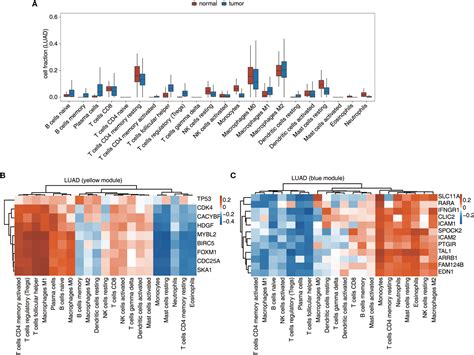 Frontiers Analysis Of Bulk RNA Sequencing Data Reveals Novel