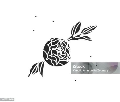 라인 플라워 아트의 로고 요소와 손으로 그린 벡터 추상 스톡 플랫 그래픽 일러스트 모란의 검은 실루엣 흰색 배경에 고립 신성한 마법 보헤미안 컨셉 0명에 대한 스톡 벡터