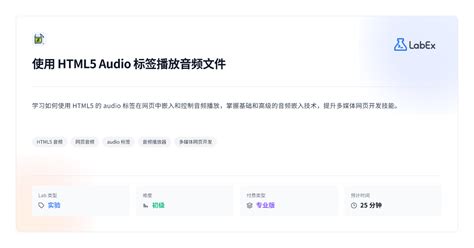 使用 html5 audio 标签播放音频文件 网页音频嵌入教程 labex