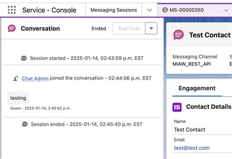 Pass Pre Chat To Salesforce Messaging For In App And Web Rest Api Infallibletechie