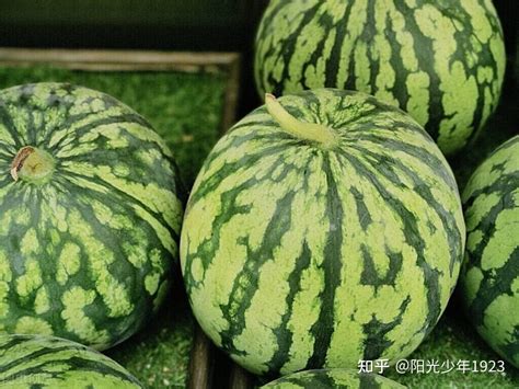 西瓜吃不完无需放冰箱教你一招放一周都不坏简单又方便 知乎