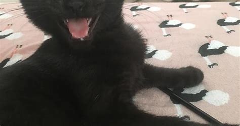 Linda Always Smiles For The Camera Album On Imgur