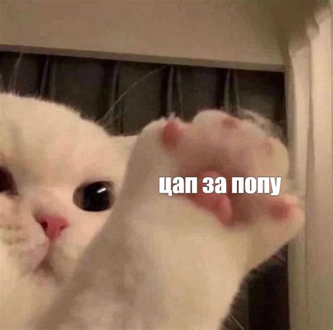 Мем цап за попу Все шаблоны Meme
