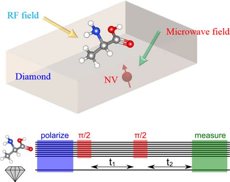 Two Dimensional Correlation Spectroscopy Cosy Pulse Sequence The Download Scientific Diagram