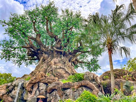 Why You Might Not Need Genie In Disney World Right Now Allearsnet