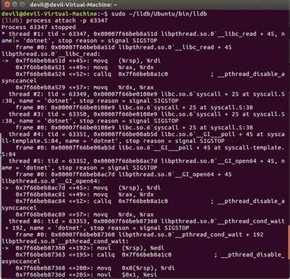 Debugging NET Core With SOS Everywhere Developer Support