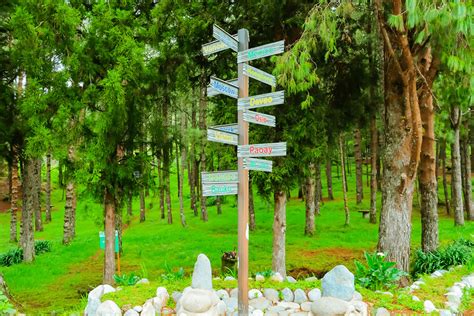 Mount Data Hotel Tourism Infrastructure And Enterprise Zone Authority