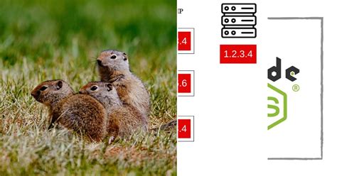 List Nodejs Curated By Udochukwukaonyela Medium