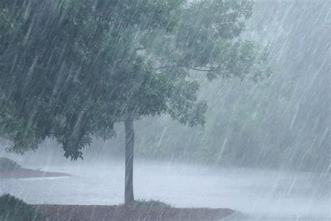 Төвийн аймгуудын нутгаар дуу цахилгаантай аадар бороо орно