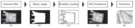 various steps in a typical region of interest extraction algorithm a