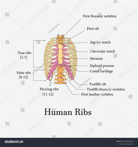5258 Cage Label Royalty Free Photos And Stock Images Shutterstock