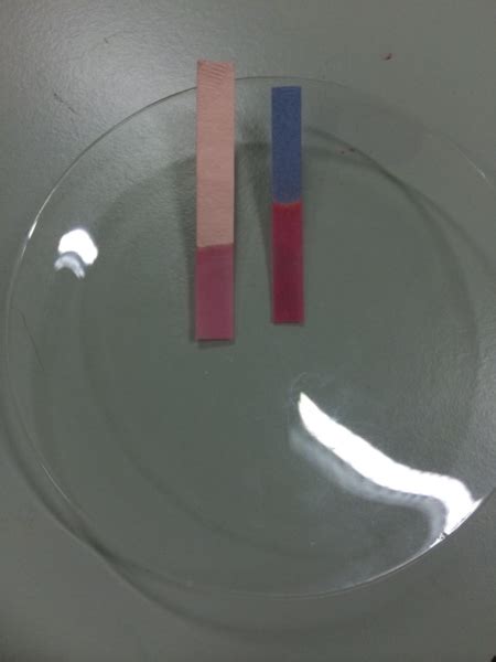 Litmus Paper Key Stage Wiki