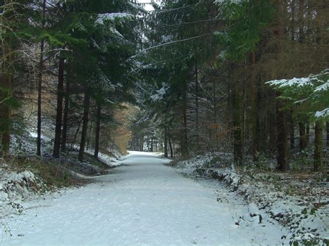 Tone Mapping Operator Gallery