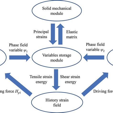 Coupling Relationship Of All Modules Download Scientific Diagram
