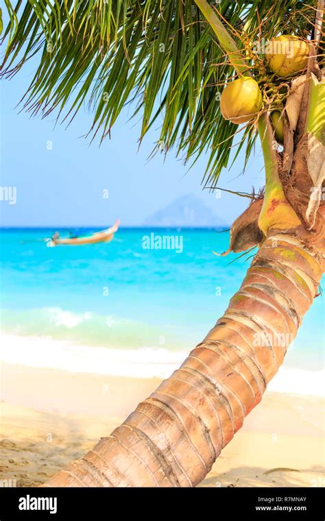 Coconut Beach