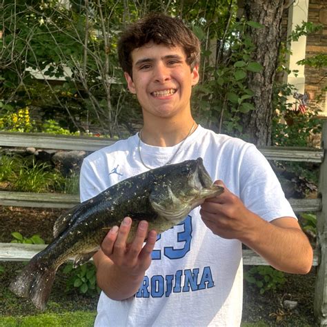 Donna Erickson Facebook