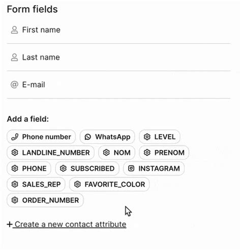 Set Up A Contact Form Bot Part 2 Customize The Contact Form Fields Home