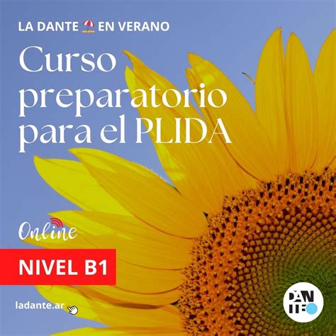 Curso Online De Preparación Para Rendir El Plida B1 Cursos De