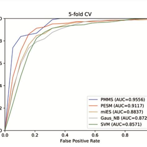 The Workflow Of Medical Image Structural Mri Preprocessing