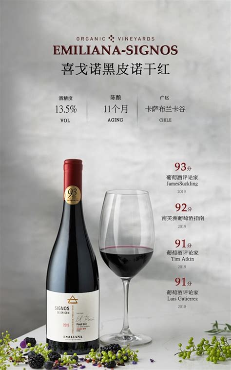 【佳沃醇美汇 】智利佳沃醇美汇 干红葡萄酒 750ml 原瓶进口红酒整箱 智利元老级有机名庄 圆满珍藏霞多丽（莎当妮）干白 750ml6