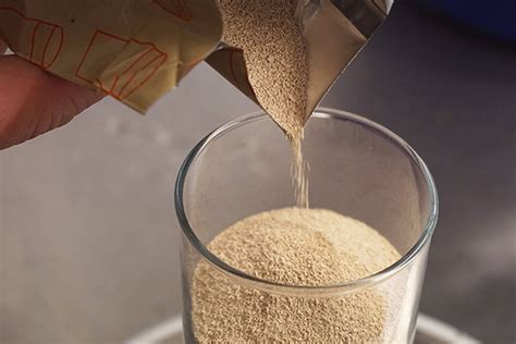 Production Conditions For Active Dry Yeast Justlong