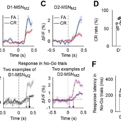the visual go no go task in head fixed mice a schematic of the task