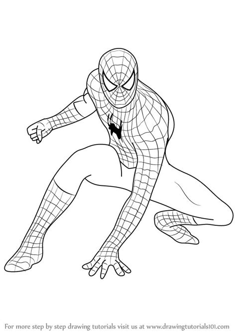 How To Draw Spiderman Spiderman Step By Step Spiderman Drawing