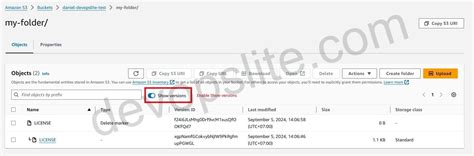 Restore Delete Marker Objects In S3 Bucket