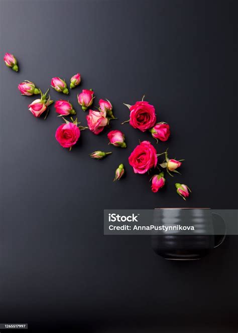 검은 돌 배경에 신선한 장미 꽃차 컵 맨 위 보기입니다 공간을 복사합니다 검정색 배경에 대한 스톡 사진 및 기타 이미지 검정색 배경 꽃 식물 장미 Istock