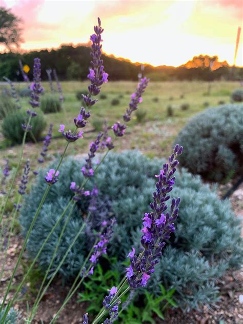 Mo Ranch Mo Ranch Added A New Photo