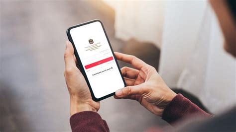 Mohre App Check Labor Visa And Employment Status Instantly Uae Labour News