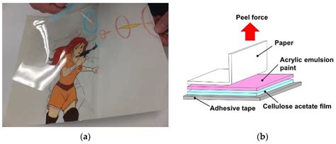 Development Of A Method For Peeling Off Paper From Celluloid Pictures