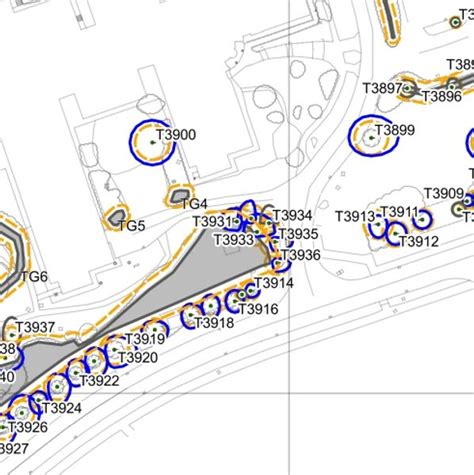Tree Surveys In Scotland