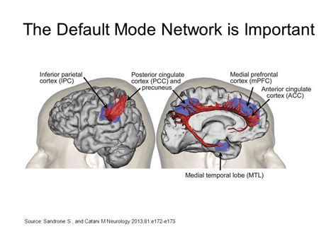 The Default Mode Network Dmn And Training Its Abilities In The Brain