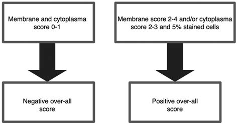Explanation Of The Rules Regarding Over All Score Download Scientific Diagram